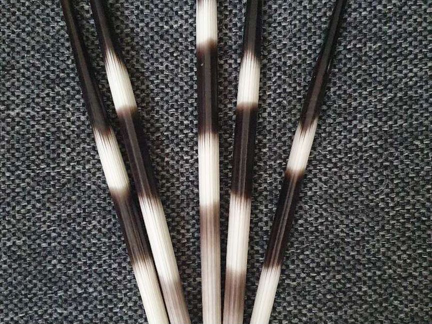 Игла дикобраза