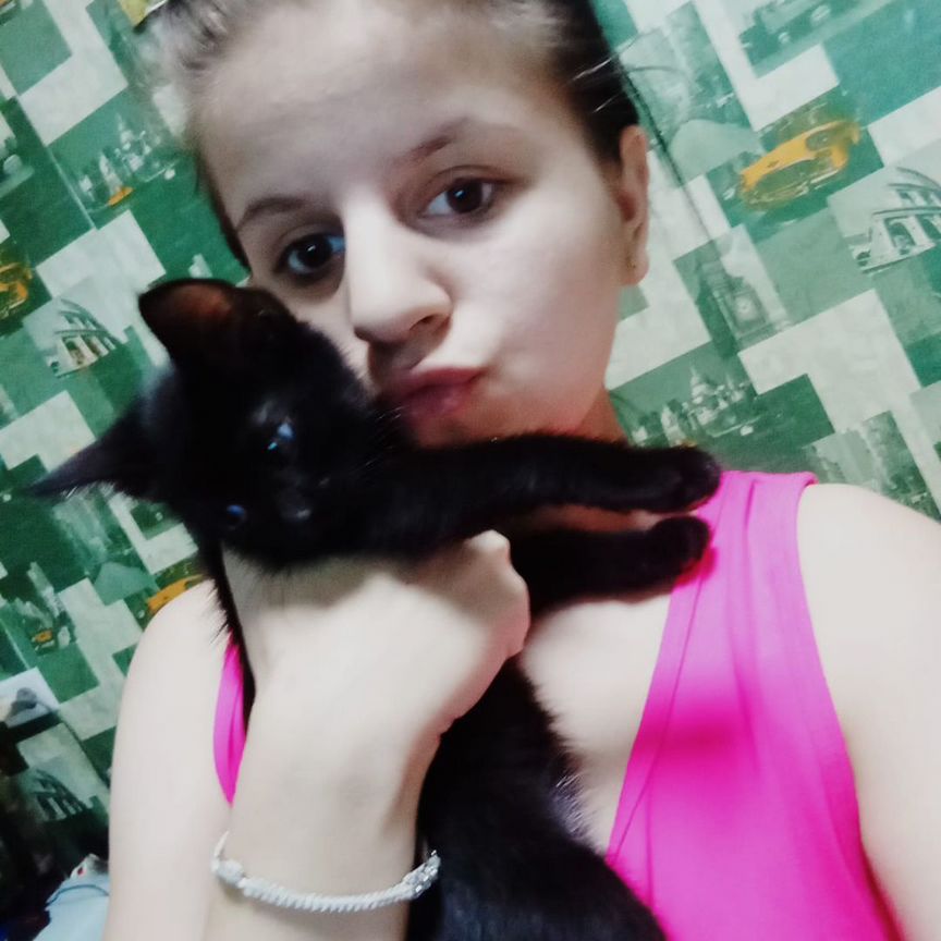 Котёнок маленький очень игривый