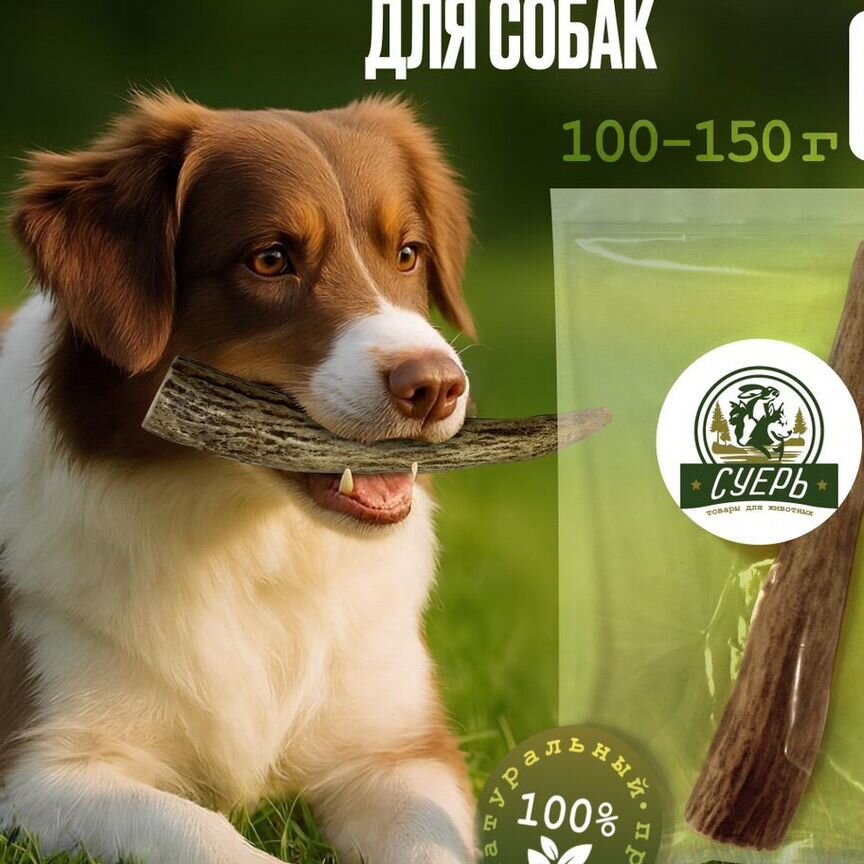 Рог лося лакомство для собак