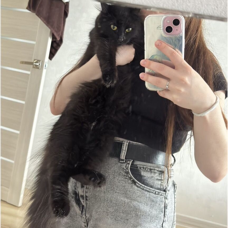 Взрослая, кошка в добрые руки
