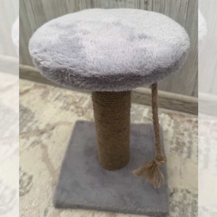 Когтеточка