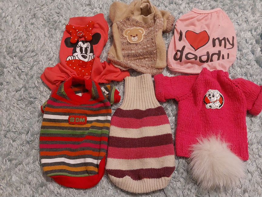 Одежда для мини собачек