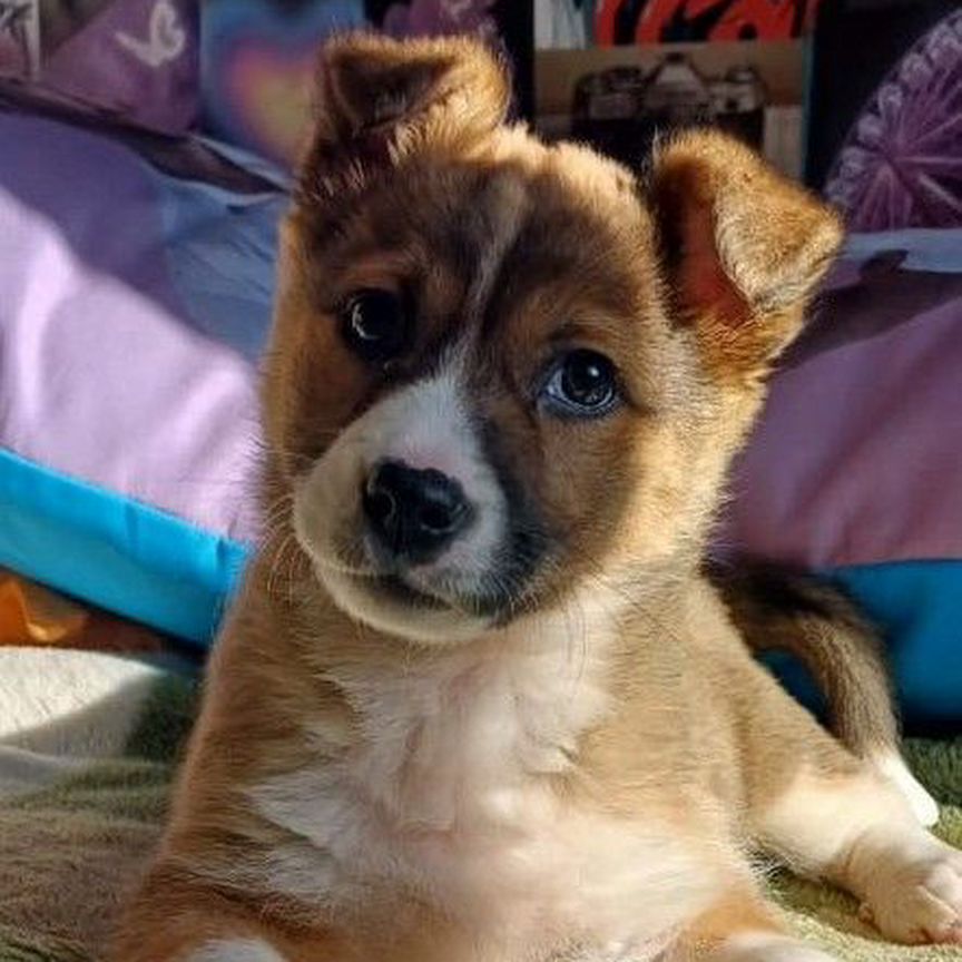 Малышка Наташа