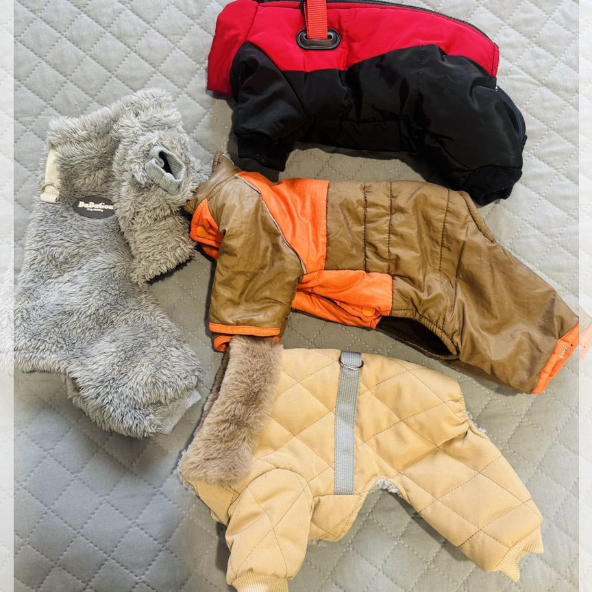 Одежда для маленьких собак