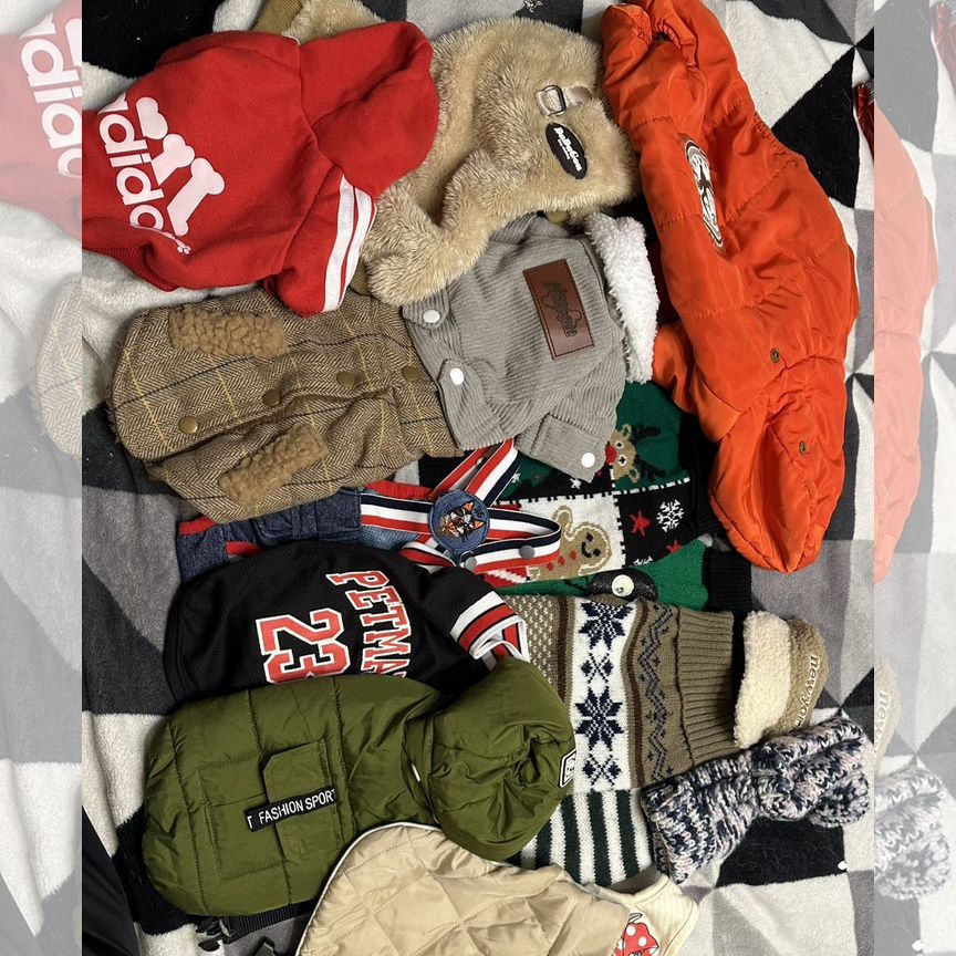 Одежда для собак мелких пород