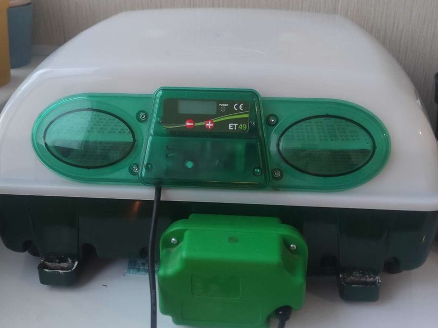 Инкубатор для яиц