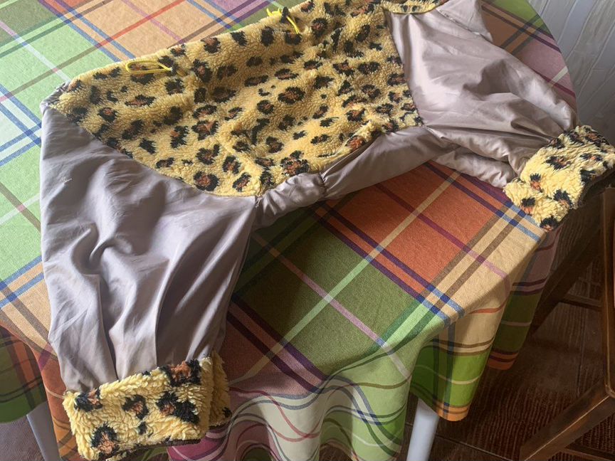 Зимний комбинезон на собаку породы шарпей