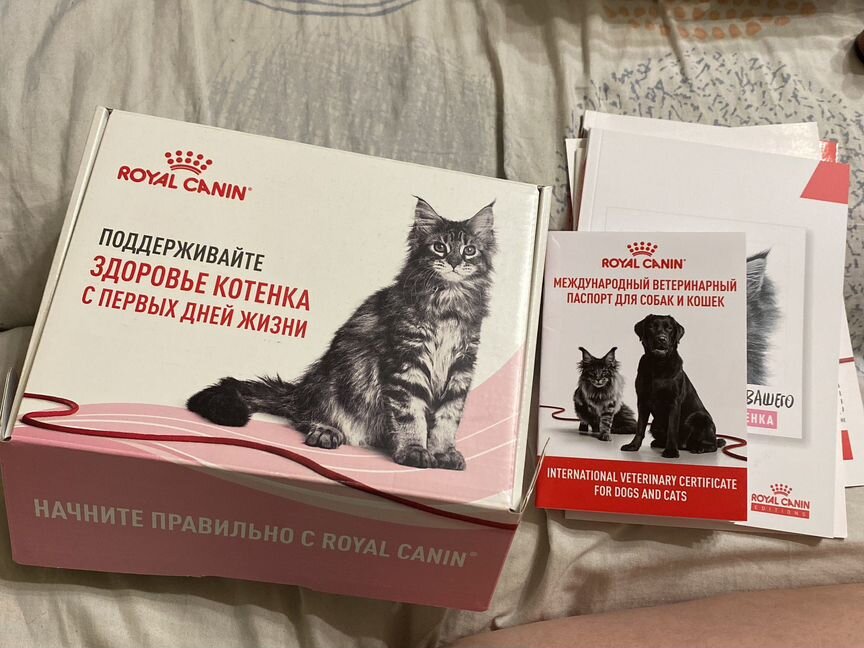 Паспорт для животных, крига про кошек