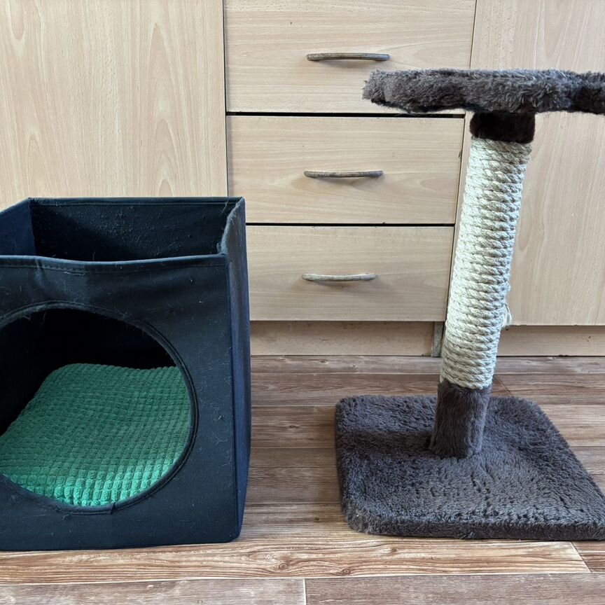 Когтеточка и домик для кошки бесплатно