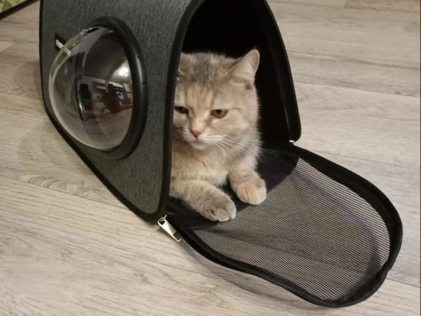 Сумка переноска для животных до 6кг