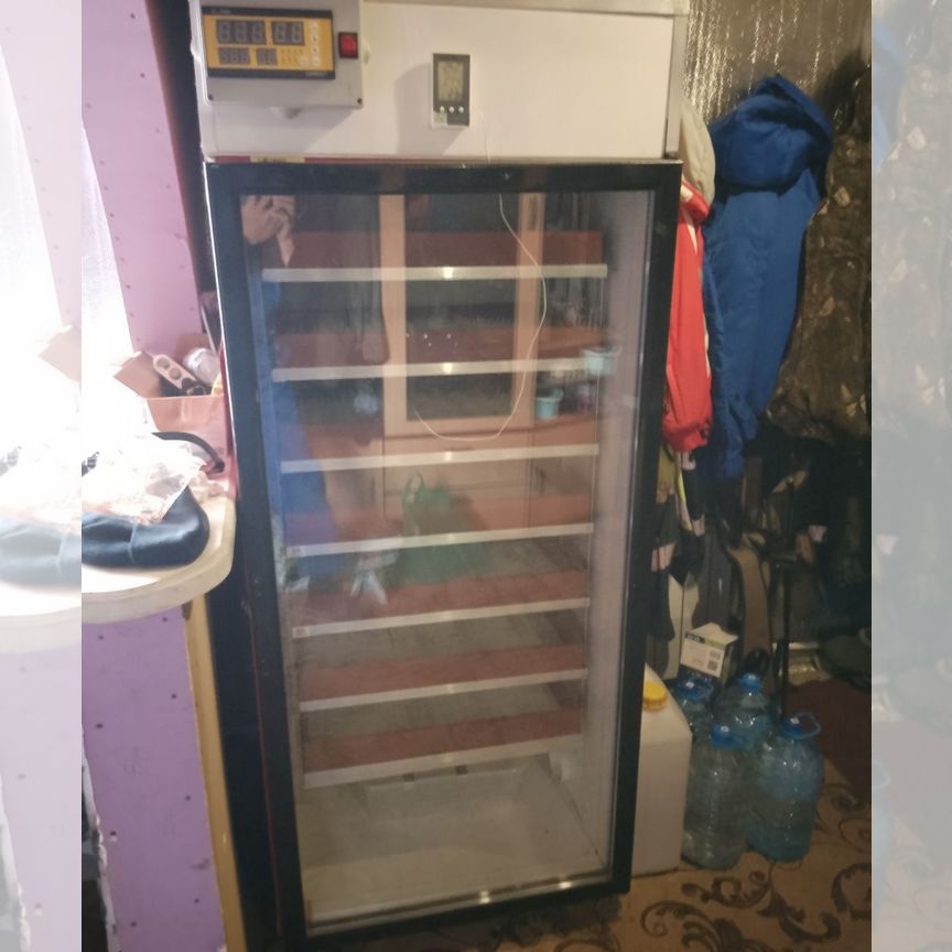 Инкубатор для яиц автоматический бу