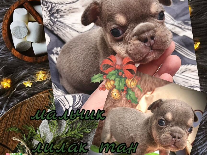 Малышарики