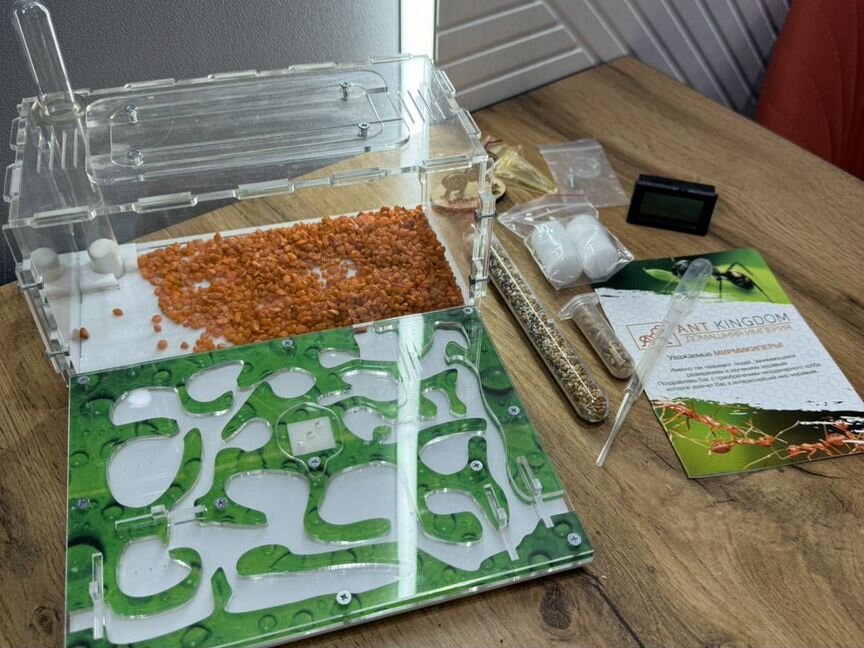 Муравьиная ферма без муравьев (формикарий)