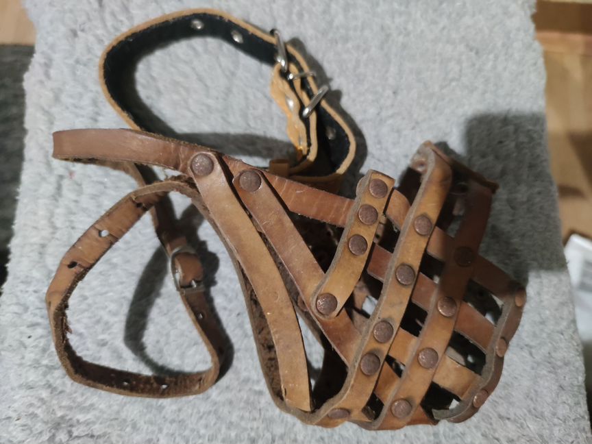 Намордник собачий и ошейник