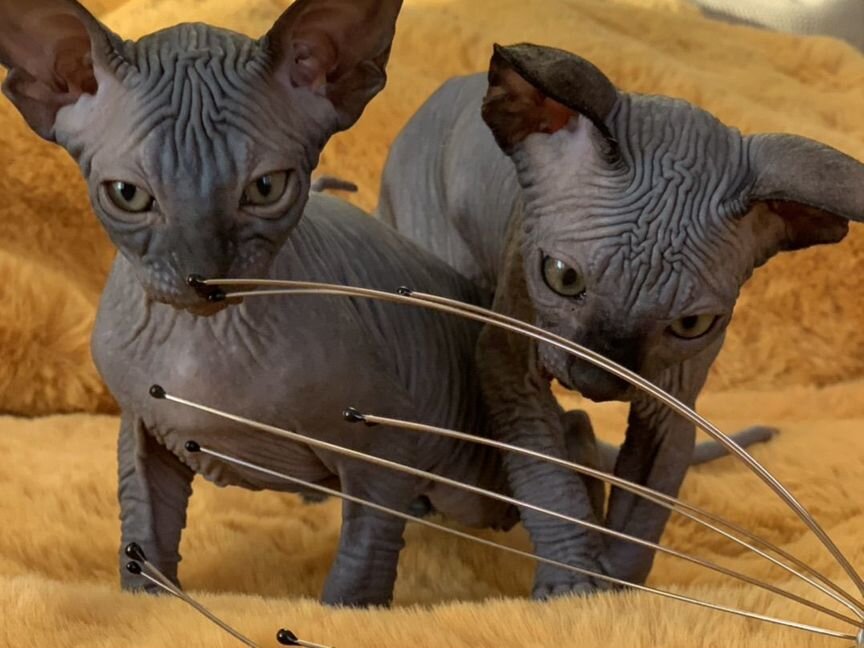 Очаровательные малыши