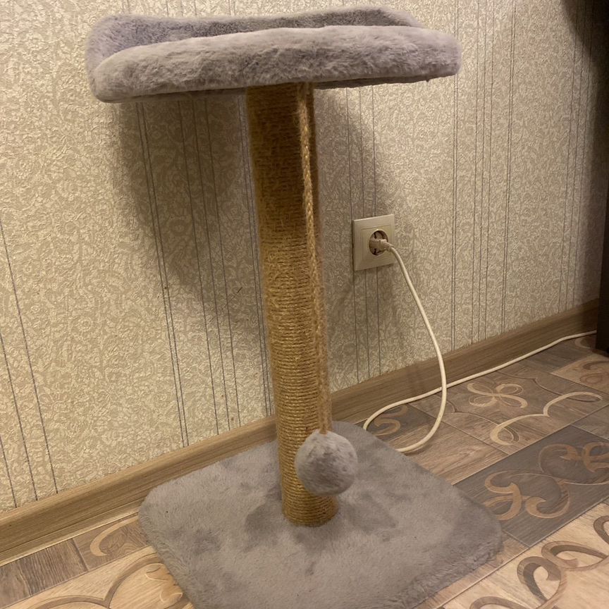 Когтеточка для кошек, переноска для животных