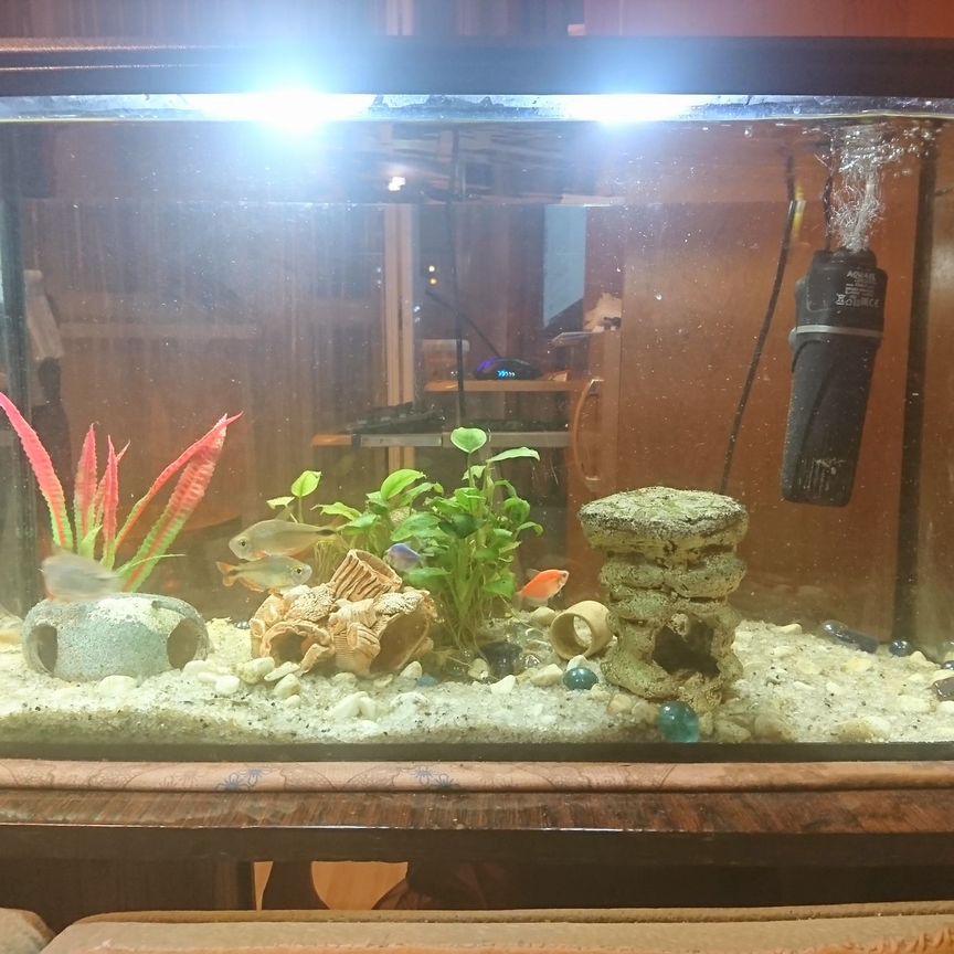 Аквариум 70 литров