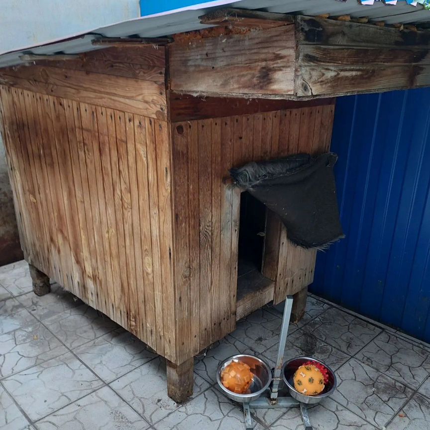 Будка для большой собаки утепленная