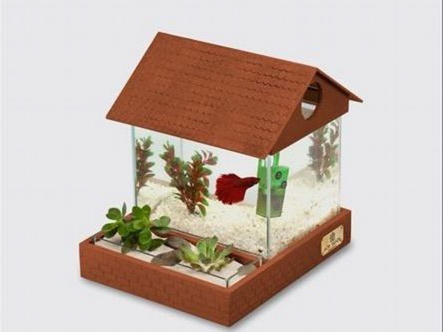 Аквариум 7,6 литров с флорариумом комплект