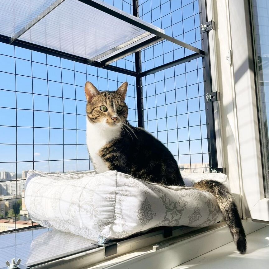 Балкончик для кошки