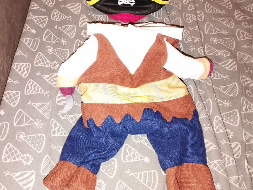 Костюм пирата для кота