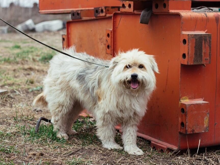Прекрасная интеллигентная девочка Проша