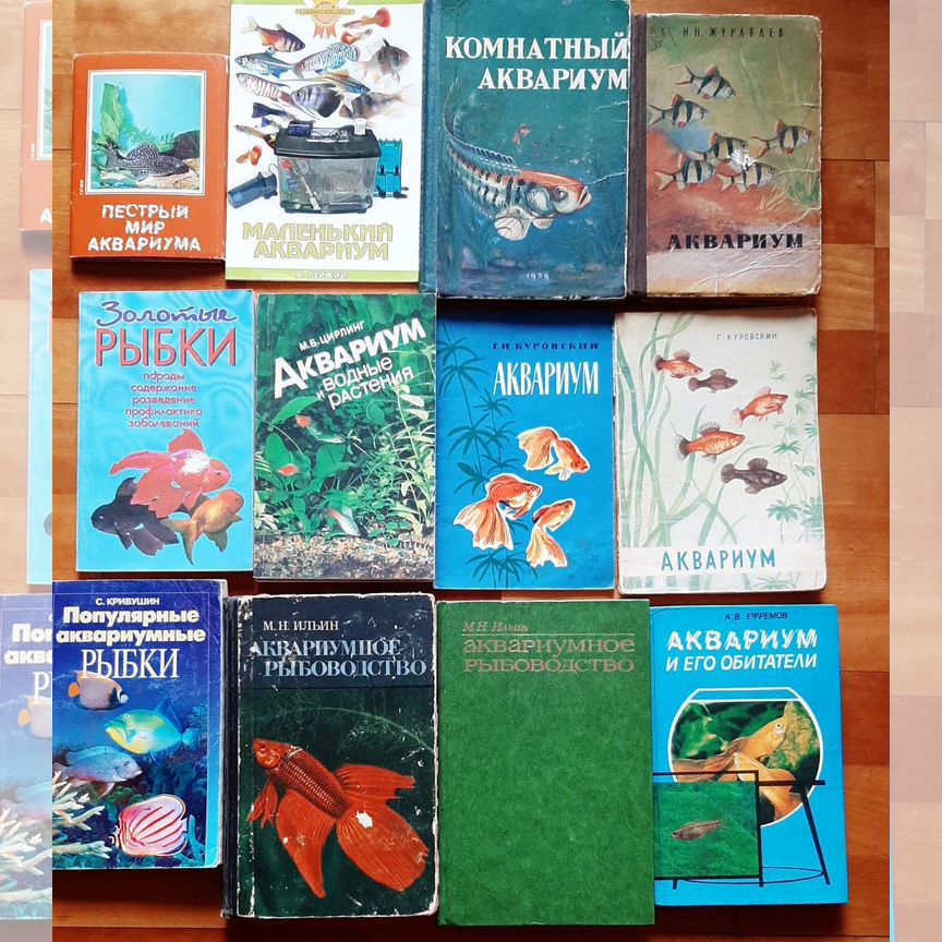 Аквариумные рыбки и черепахи