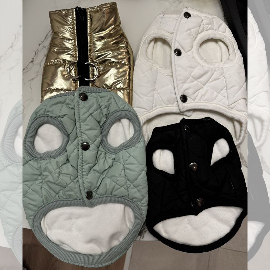 Одежда для собак