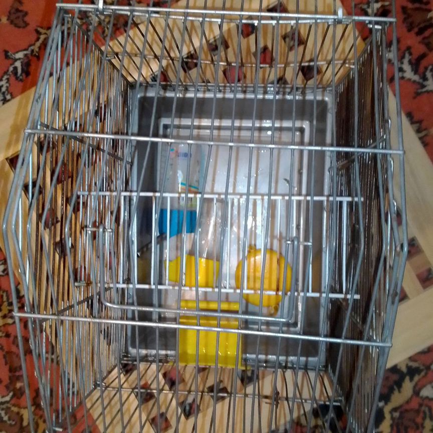 Клетка для попугая или для крысы
