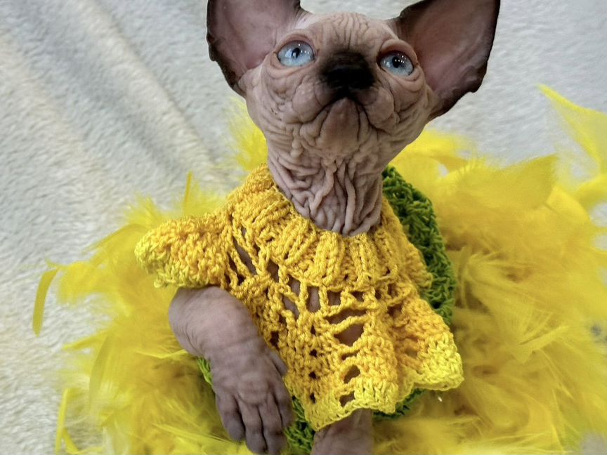 Топовая девочка в складочку