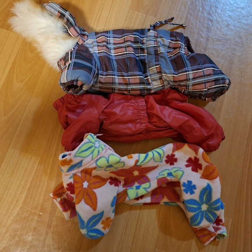 Комбинезон для собаки девочки чихуахуа