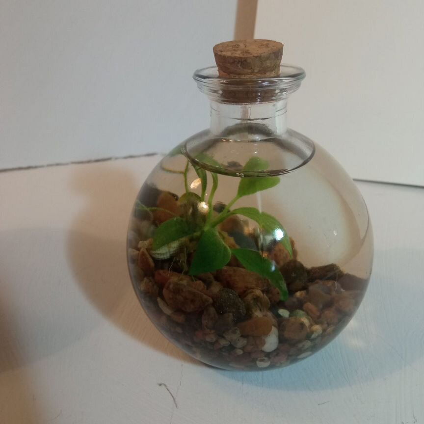 Мини аквариум