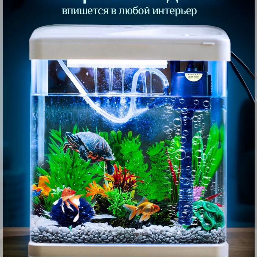 Аквариум