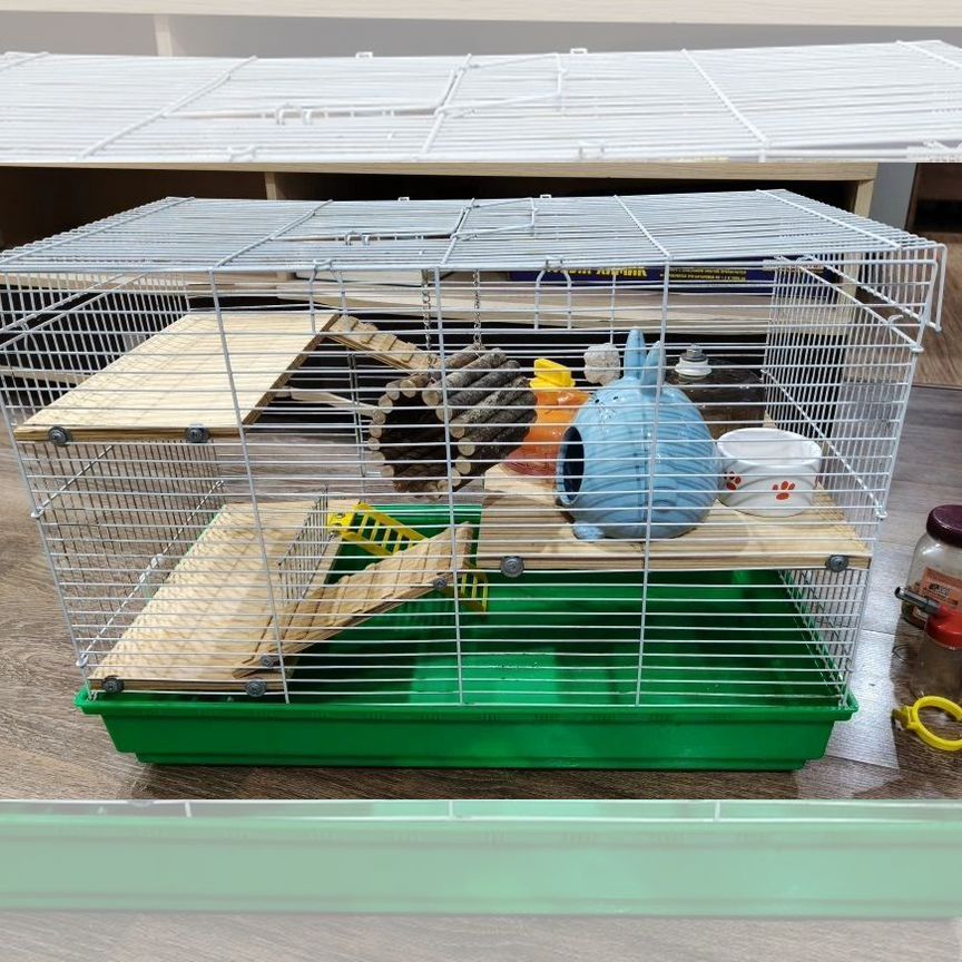 Клетка 60х32х42 и всё для хомяка