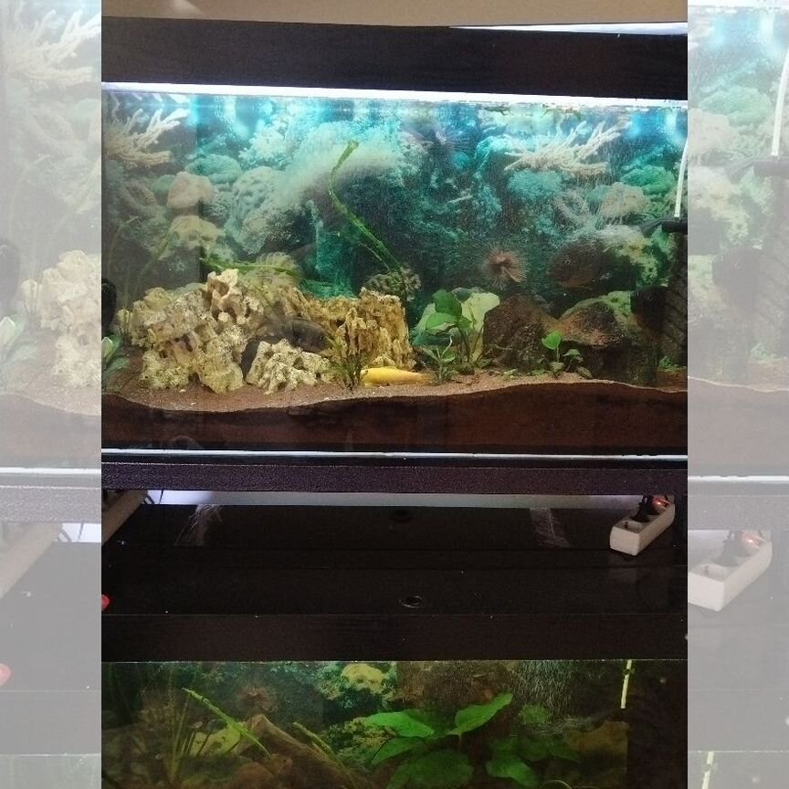 Стойка с аквариумами