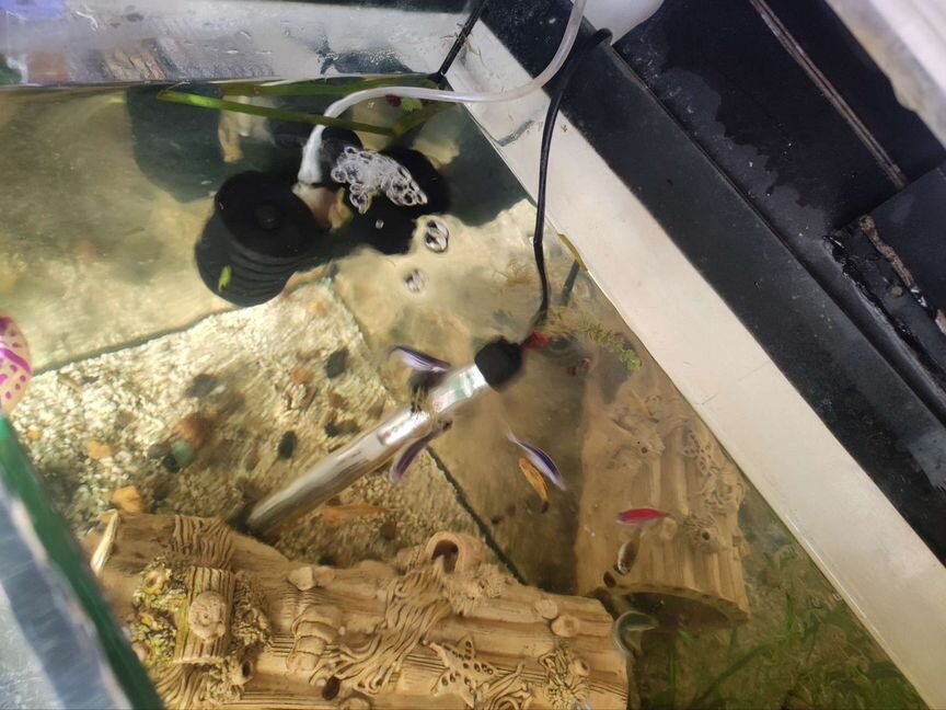 Продам аквариум бу 100л