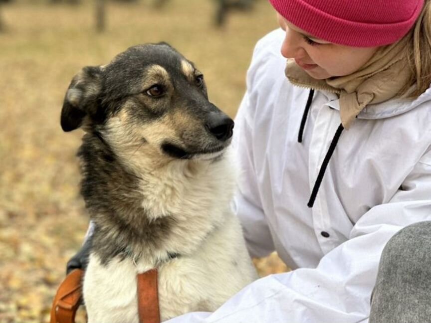 Нежный мальчик надеется найти дом