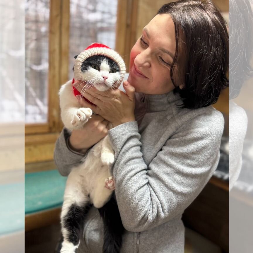 Взрослая, Девочка кошка в добрые руки