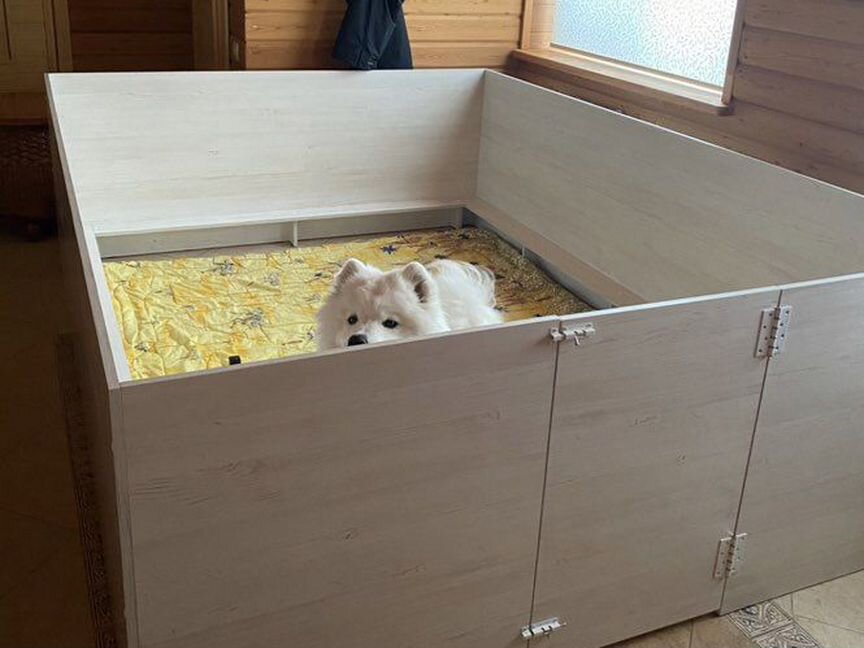 Щенятник. Родильный дом