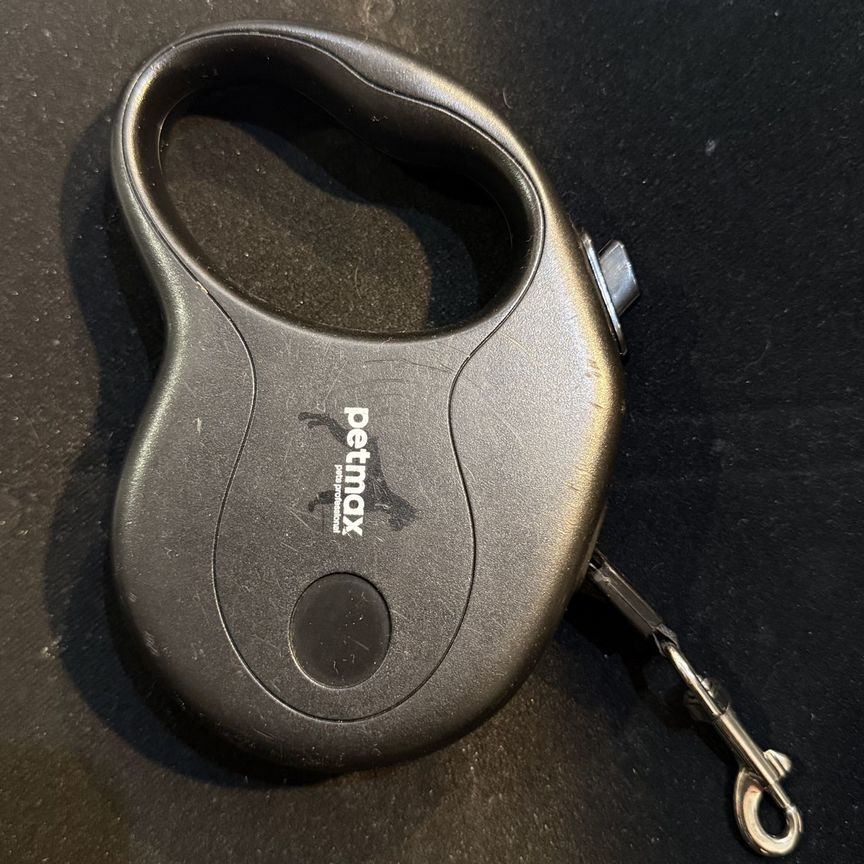 Амуниция для собак