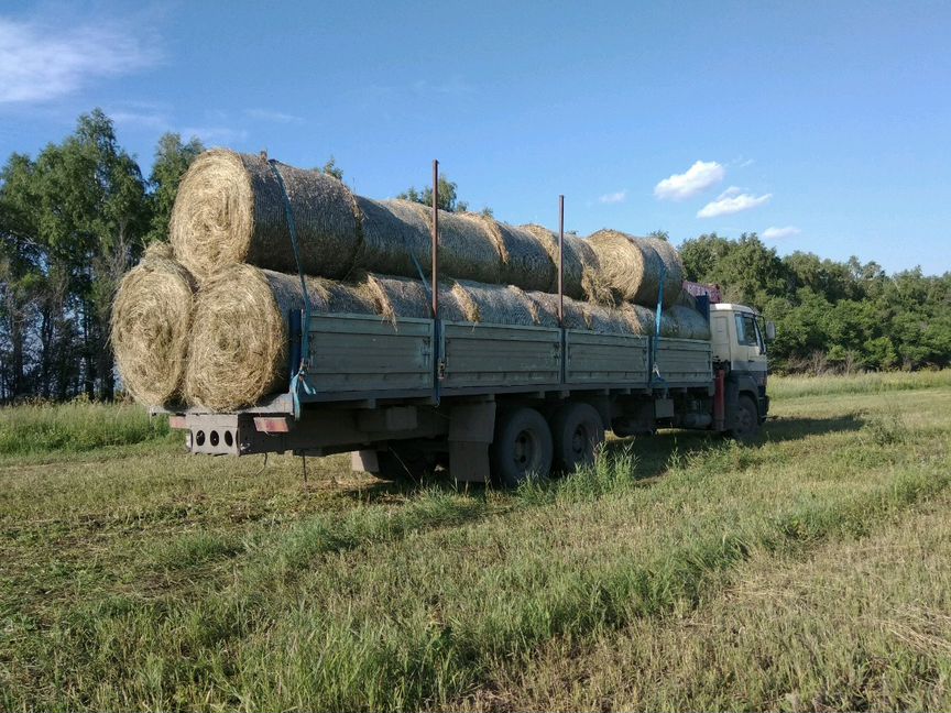 Сено,солома зелень отличного качества