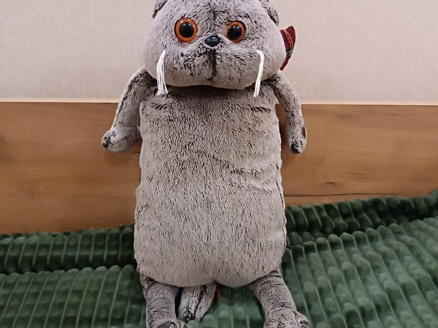 Кот басик