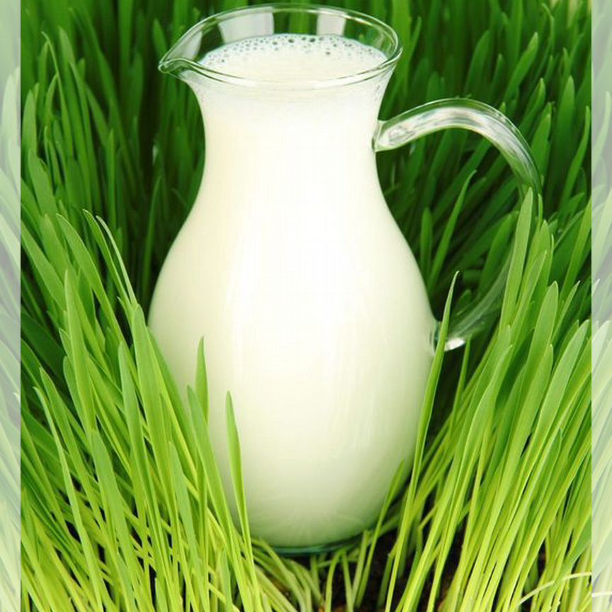 Домашнее Молоко Коровье