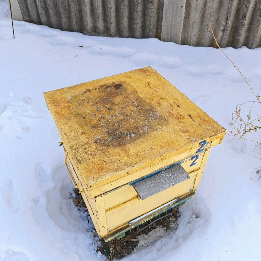 Ульи б/у дадан