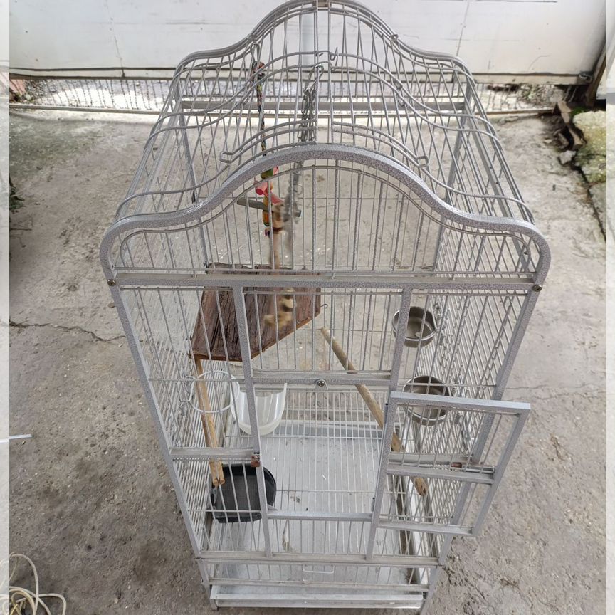 Клетка для попугая большая