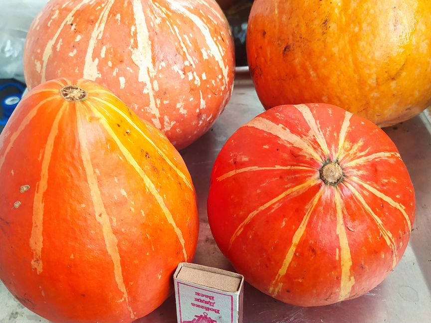 Тыква сортовая вкусная