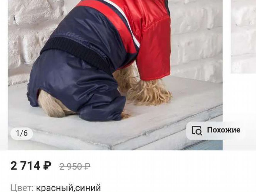 Комбинезон для собаки Patrick