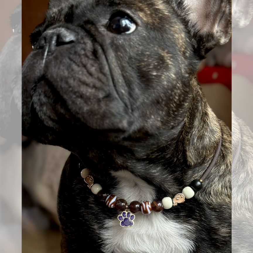 Бусы, чокер для собак (адресник)
