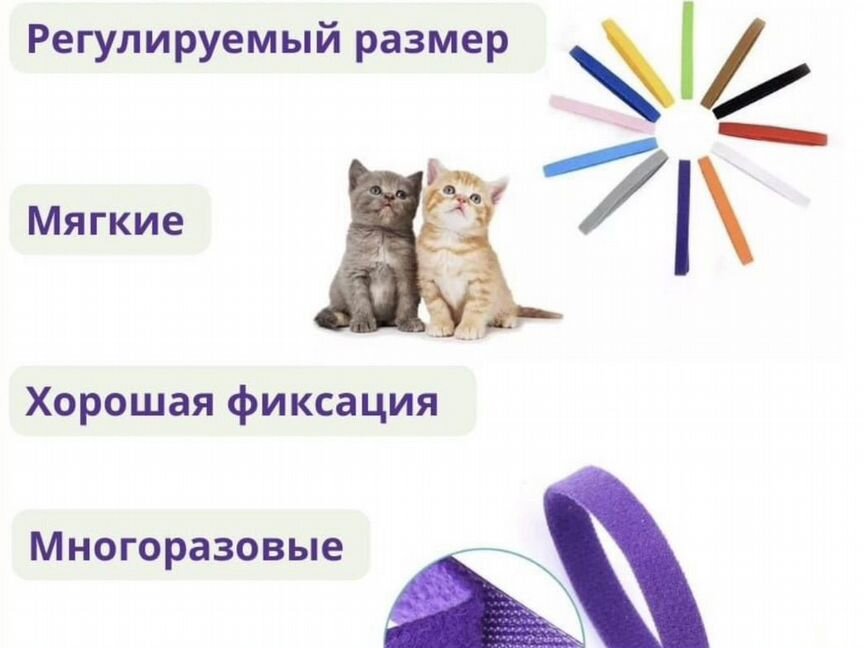 Идентификационные ошейники для котят/щенков