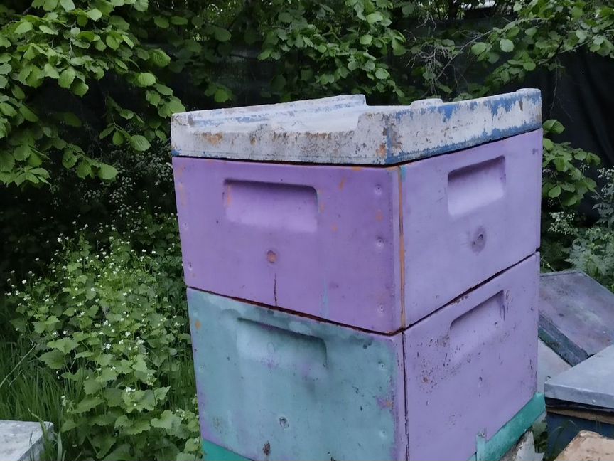 Улей для пчел ППУ